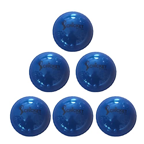 Top 10 Best Ball For Cricket Practice : Reviews & Buying Guide - Katynel