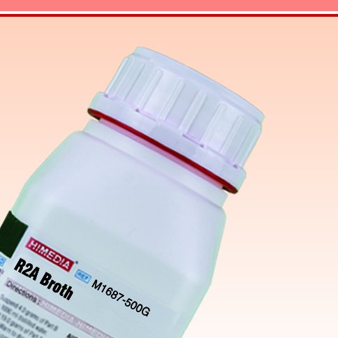 Amazon.com: HiMedia M1687-500G R2A Broth, 500 g : Industrial & Scientific