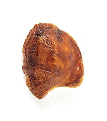 Dharmsaar Grey Mach Mani Stone Original, Certified Machmani Stone ...