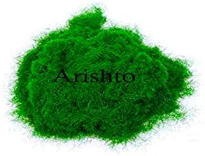 Buy Samvardhan Artificial Grass Powder for Craft Decor Micro Landscape ...