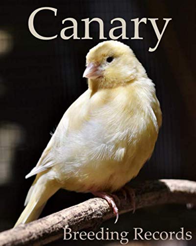 Canary Breeding Records: 100 templates log book for birds ,notebook ...