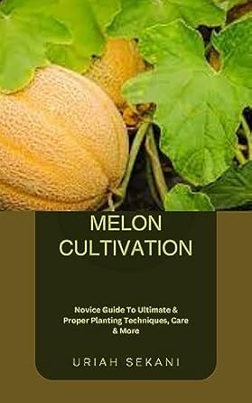 MELON CULTIVATION: Novice Guide To Ultimate & Proper Planting ...