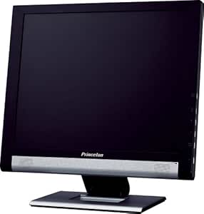 Princeton PTFBJ-19 LCD Display with 19-inch Stereo Speaker: Monitors ...