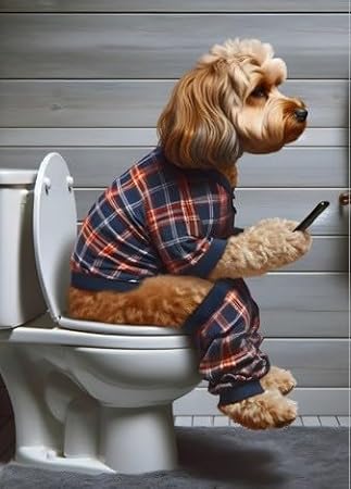 A4 Cavapoo Sitting on Toilet on Mobile Phone Cockerpoo Print Dog Tartan ...