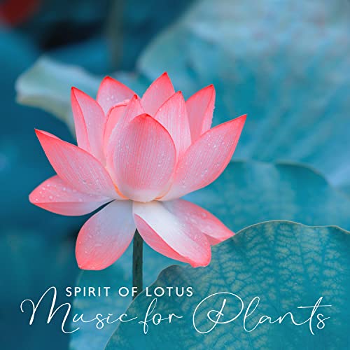 Play Spirit of Lotus: Music for Plants, Maximize Your Plants Potential ...