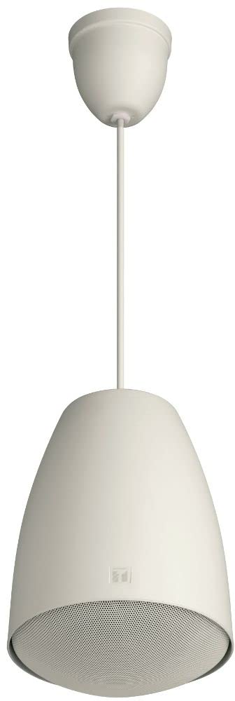 Buy TOA PE-304 Pendant Speaker, 30W Rated Power, 8Ω and 70V/100V ...