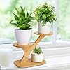 Amazon.com : ohohFLOWER Bamboo Plant Stand for Indoor, Small Table Top ...