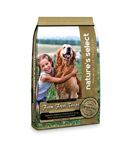 Top 10 Fresh and Nutritious Dog Food Selections You Can't Help But Love ...