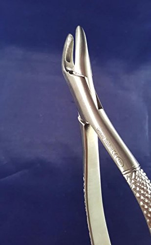 Amazon.com: New Premium Grade Dental Tooth EXTRACTING Forceps NO150 ...