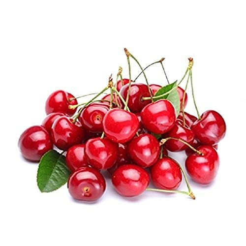 Fresh Indian Cherry, 400g : Amazon.in: Grocery & Gourmet Foods