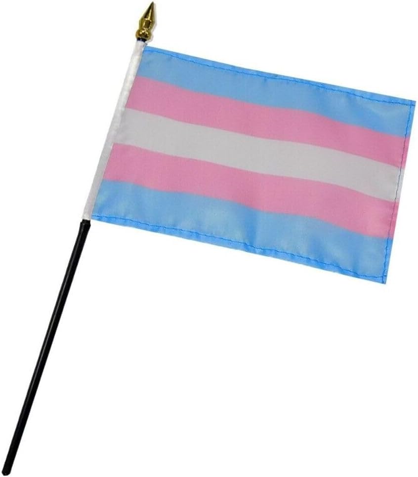 Amazon.com: Transgender LGBTQIA 4"x6" Flag Desk Table Plastic Stick ...