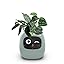 Itigoitie Smart Flower Pots, AI Planter, Multiple Expressions, 7 Smart ...