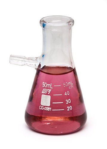 WPI CG-0081 Glass Filter Flask with 8mm Tubulation, 80mm Height, 50mL ...