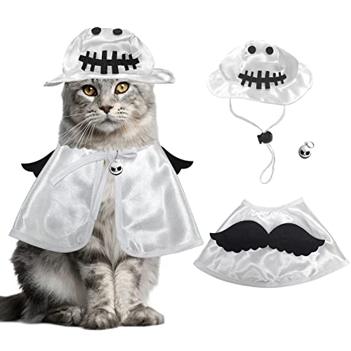 10 purrfectly grumpy Halloween costumes for feline friends: Your guide ...