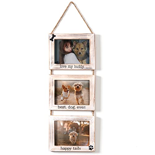 Top 10 Dog Collage Frames You Can't Resist: A Review and Buying Guide ...