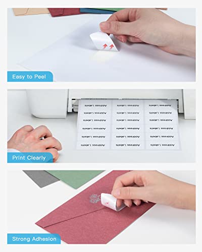 Snapklik.com : Shipping Address Labels, TRUNIUM 1 X 2-5/8 Address ...