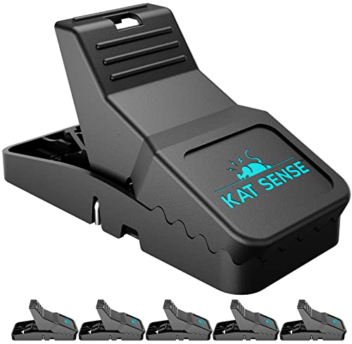 How to Get Rid of Mice | Updated for 2021