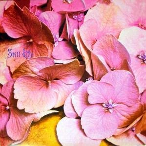 S/T LP (Vinyl Album) Italian Akarma 2003 - Gravy Train (prog Rock Group ...