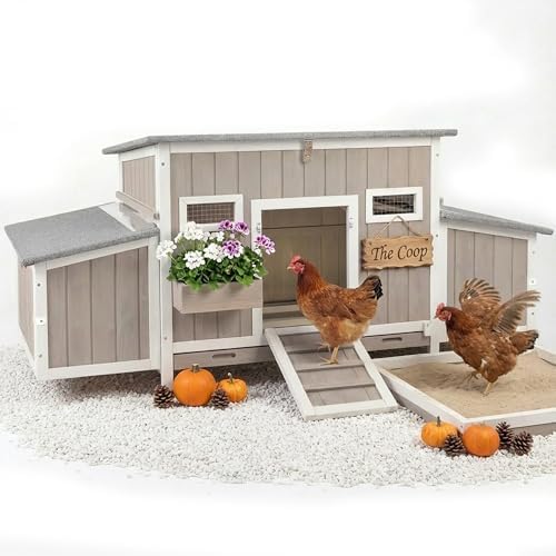 Amazon.com: Wooden Chicken Coop, Outdoor Poultry House with ...