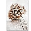 Amazon.de: RAILONCH 3er Moderne Poster Set Stilvolle Pfingstrose Blumen Wandbilder Boho Beige ...