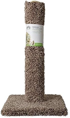 Amazon.com : North American Pet Urban Cat Cat Carpet Scratching Post 26 ...