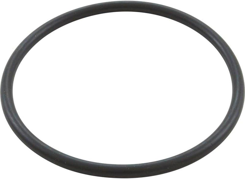 Amazon.com: Waterway Plastics 805-0436B Swimming Pool Pump Lid Cover O ...