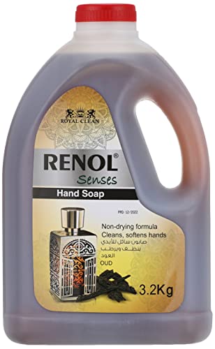 amazon.ae Best Sellers: The best items in Hand Wash based on Amazon ...