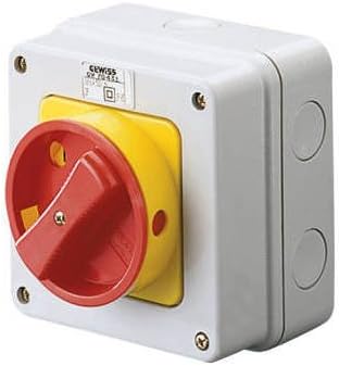 Gewiss GW70434 Rotary Isolator Switch Double Pole 32 Amp : Amazon.co.uk ...