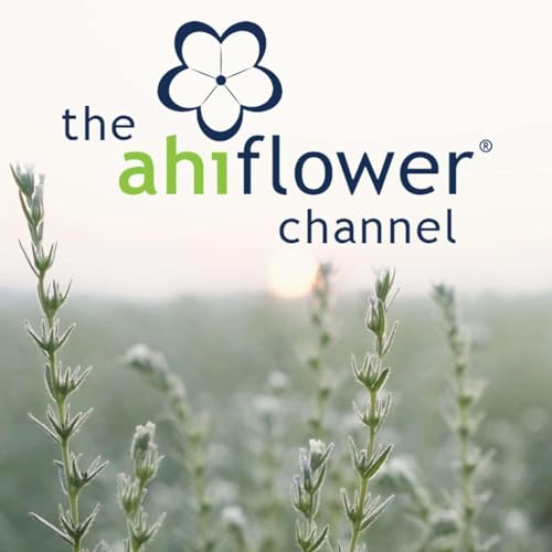 Amazon.com: Plant-Based Omegas Regenerating Health, Regenerating the ...