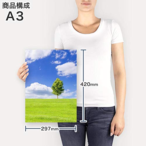 アートパネル 絵 絵画 飾り igsticker 420mmx297mm A3 フォト 壁掛け 木枠 インテリア おしゃれ 005883 写真・風景 写真 空 草原 | Sizeee