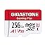 Amazon.com: Gigastone 128GB 2-Pack Micro SD Card, Gaming Plus, Nintendo-Switch Compatible, R/W ...