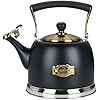 Amazon.com: Tea Kettle Stainless Steel Teapot, Stainless Steel ...