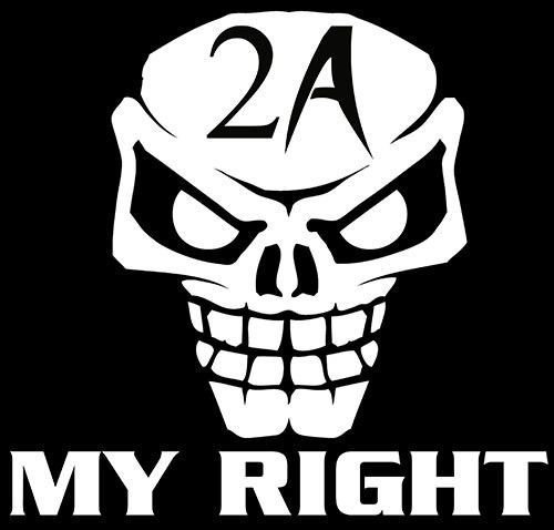2nd Amendment Skull Vinyl Decal Sticker | Cars Trucks Vans Walls ...