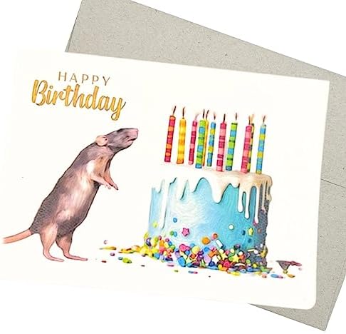 Amazon.com : Mouse Birthday Card with Envelope (7X5 Inch, 1 Card, Blank ...