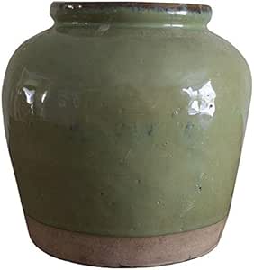 Amazon.com: Used Vintage Chinese Celadon Pickle Pot : Patio, Lawn & Garden