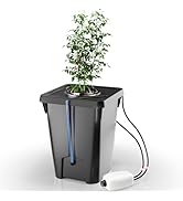 Amazon.com : RDWC Hydroponics Grow System 6 Site + Reservoir, 7-Gallon ...