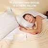 Amazon.com: Felo Feather Down Pillows Queen Size Set of 2, CloudFusion ...