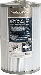 Sundance 6540-501 Spa/Jacuzzi Filter : Amazon.in: Home & Kitchen