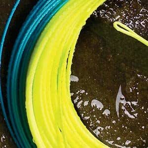 Royal Wulff Ambush Shooting Head, Fishing Line - Amazon Canada