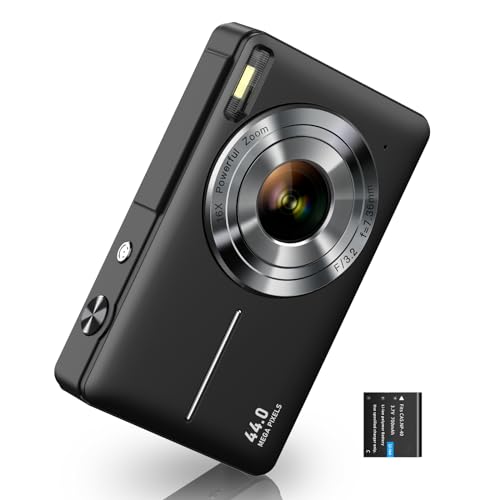 What are the best cameras for beginners?