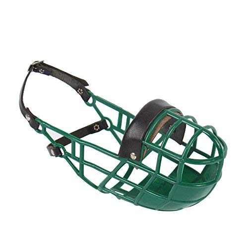 Maulkorb Windhund – Die 16 besten Produkte im Vergleich - HundeINFOPortal
