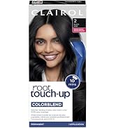 Clairol Frost & Tip Original Hair Highlighting Kit, Blonde Highlights ...
