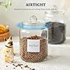 Amazon.com: FyndraX Half Gallon Large Glass Jars with Lids, Airtight Storage Clear Containers ...