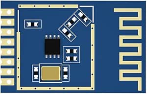 Amazon.com: EBYTE Ci24R1 2.4G RF Wireless Module E01C-2G4M11S 11dBm ...