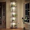 Amazon.com : Bstrip Plant Stand Indoor with Grow Light, 81.3" Tall ...