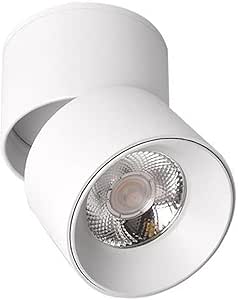 Amazon.com: FAZRPIP Surface Mounted LED Ceiling Spots 360° Adjustable ...