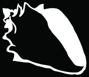 Amazon.com - Conch Shell Fish Car Truck Window Bumper Vinyl Graphic ...