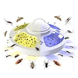 Best Bug Bombs For Effective Household Pest Control Solutions Always ...