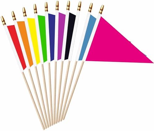 Amazon.com : LyButty 20 Pack Solid Color Blank Pennant Flags Set on ...
