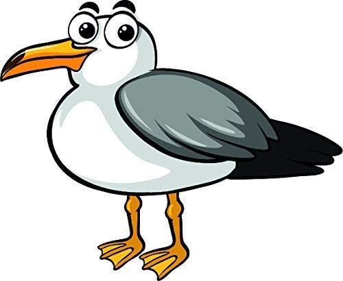Amazon.com: Simple Derpy Seagull Bird Cartoon Truck Car Bumper Sticker ...